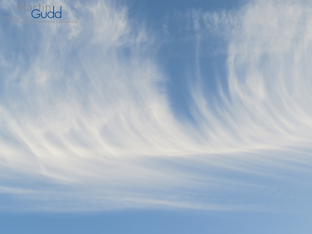 Vertebratus (ve) - Institute for Professional Weather Education